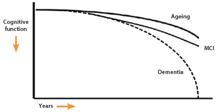 Why and what should hearing care professionals know about cognitive ...