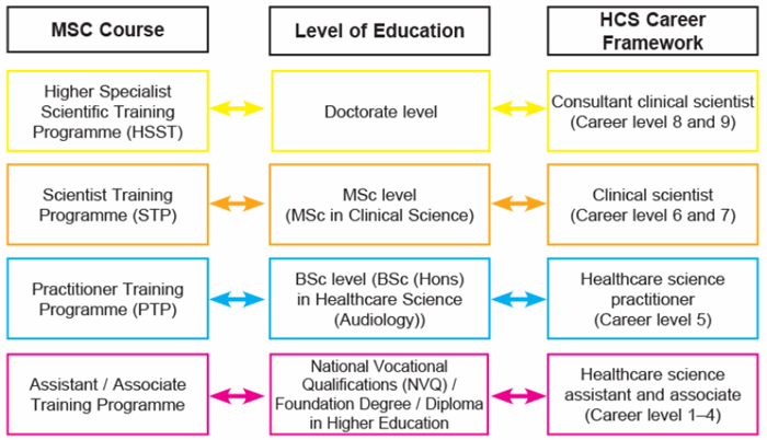 Modernising scientific careers and audiology in the United Kingdom ...